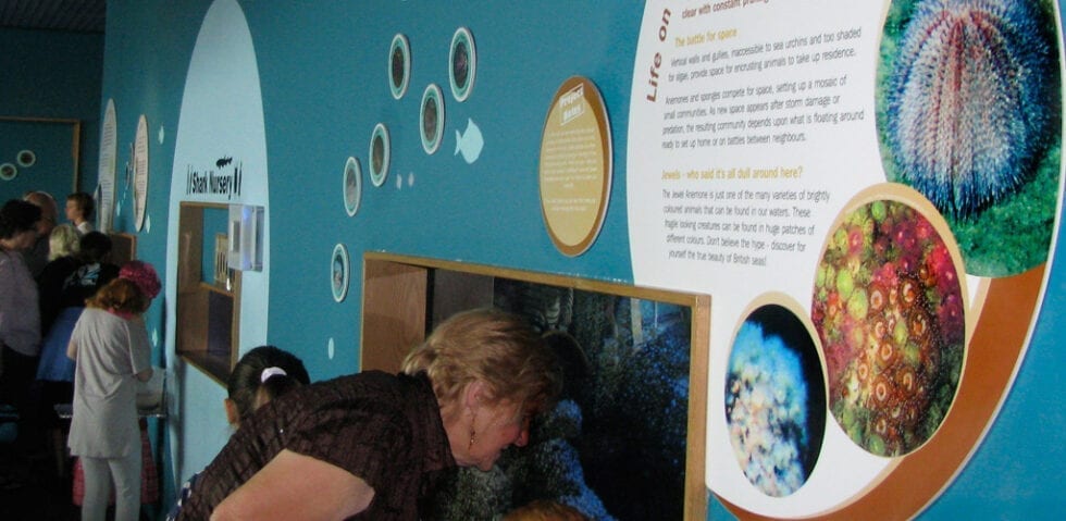 Exhibition display design for National Marine Aquarium | Freeway ...